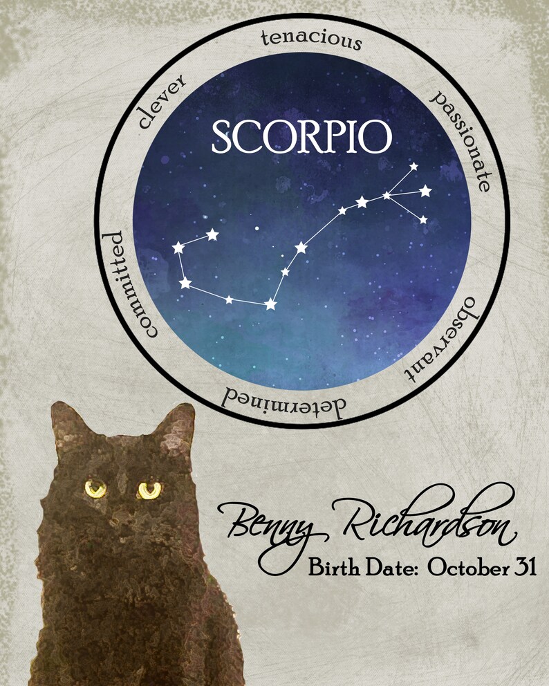 Custom DIGITAL Pet Astrology Printable-pet Zodiac Sign-digital Download ...