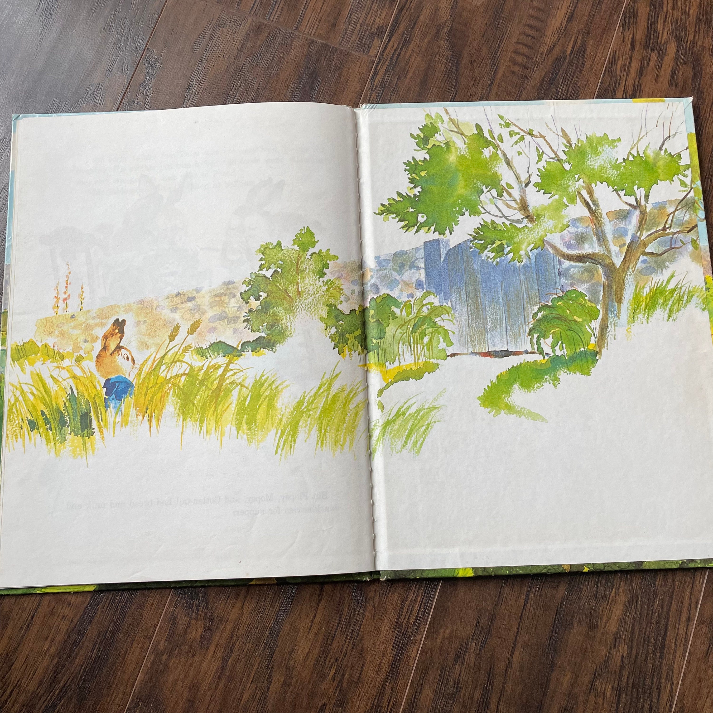 Vintage 1963 Peter Rabbit Book by Beatrix Potter - Etsy