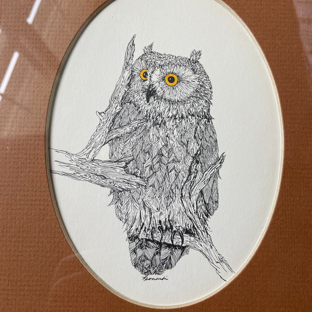 Vintage Steve Leonardi Owl Nature Print 1977 Framed and Matted - Etsy