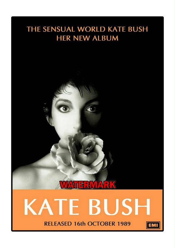 Kate Bush Poster Print A2 the Sensual World silver OR - Etsy