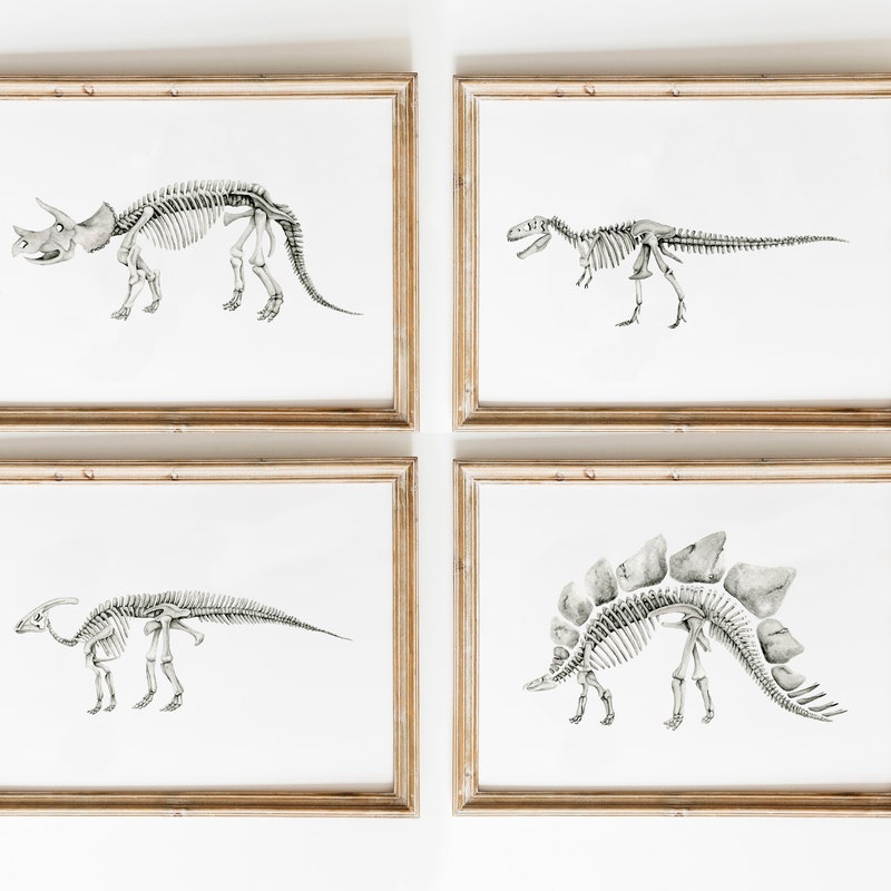 Fossils Print - Etsy