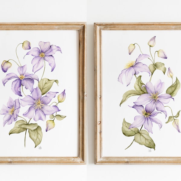 Clematis - Etsy