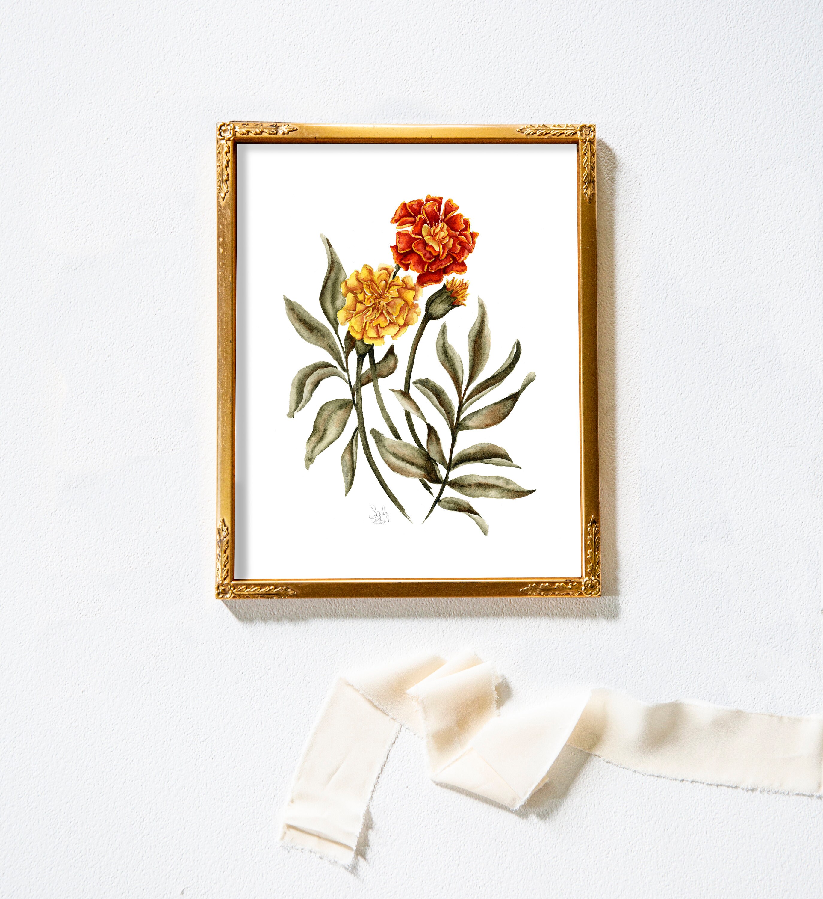 Marigold Watercolor Print, Vintage Botanical Wall Art, Marigold ...