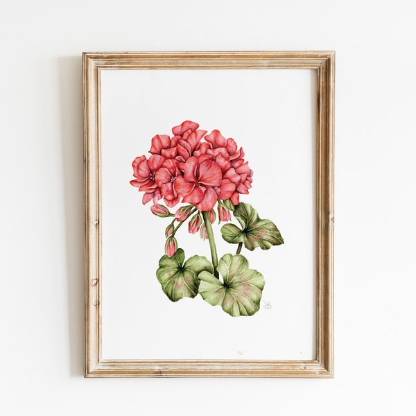Geranium Print - Etsy
