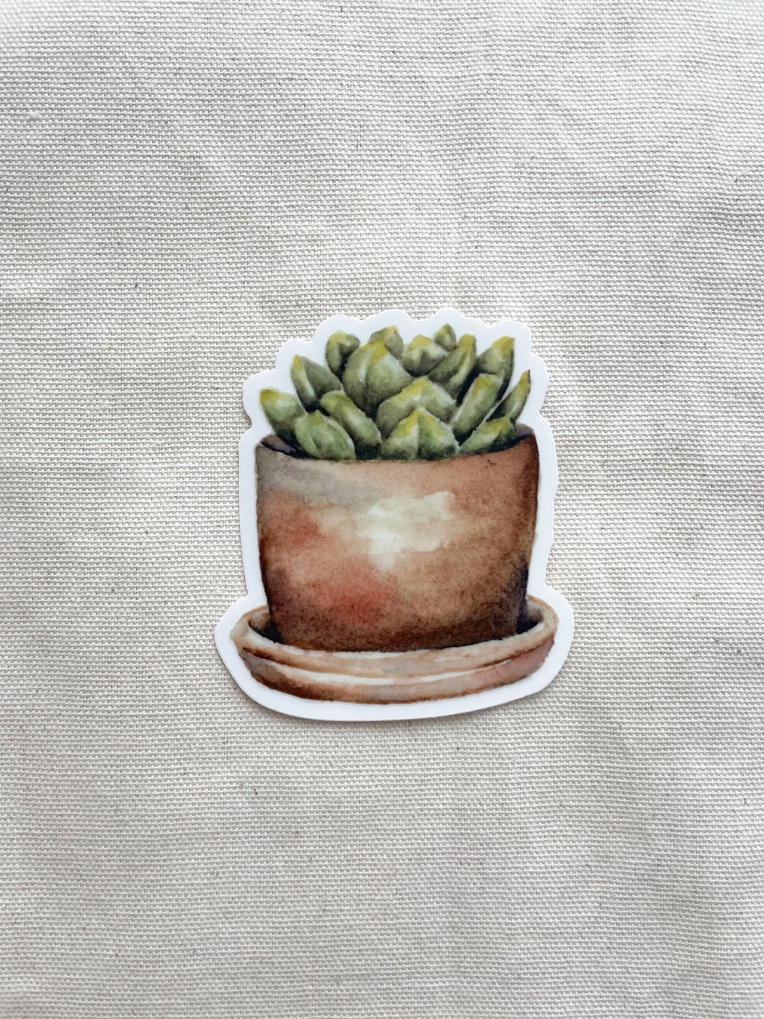 Hens and Chicks Succulent Vinyl Sticker, Clear Sticker, Vinyl Die Cut ...