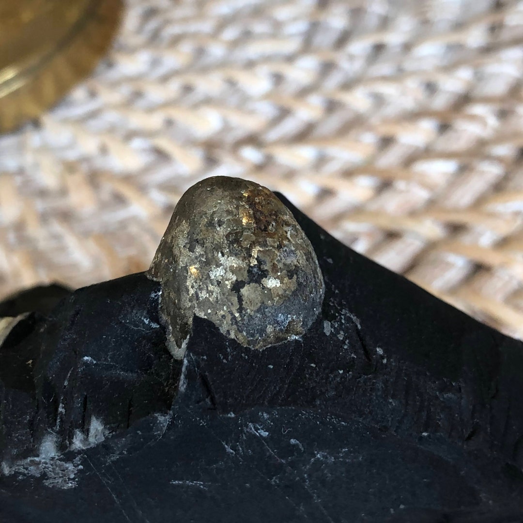3.7 PYRITE BALL Nodule Crystal in Matrix Rock From Morocco/mineral ...