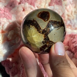 SEPTARIAN Dragon Stone Sphere 63mm From Madagascar/crystal Sphere ...