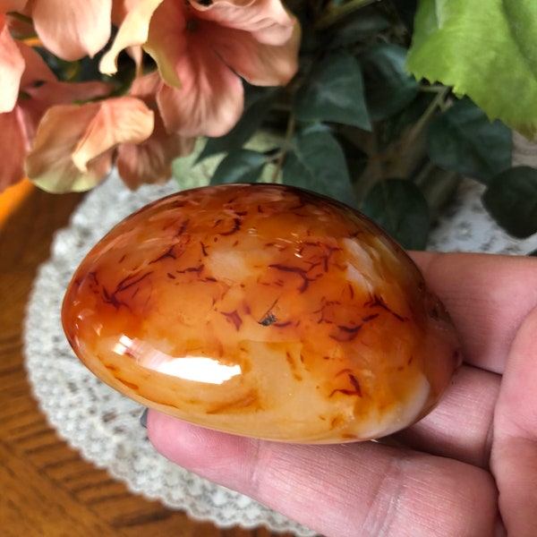 Madagascar Palm - Etsy