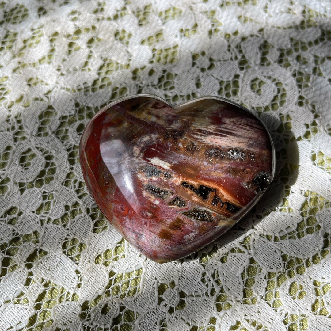 2.5 Petrified Wood Polished Heart Carving From Madagascar/petrified ...