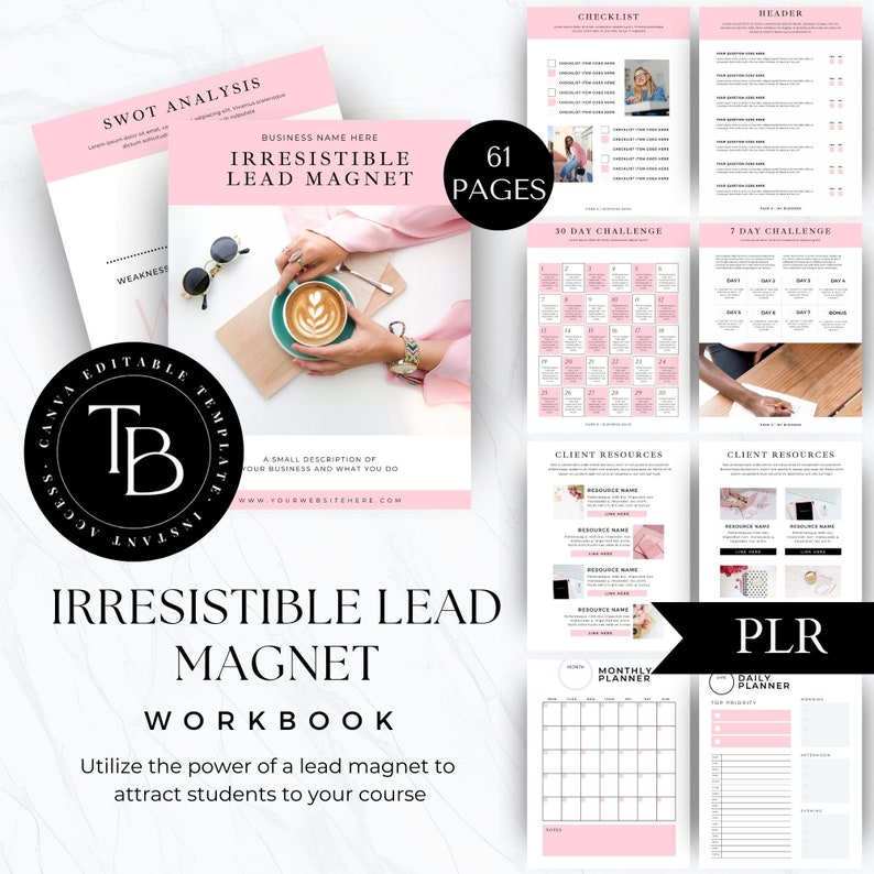 Editable Lead Magnet Canva Template for Coaches Course - Etsy