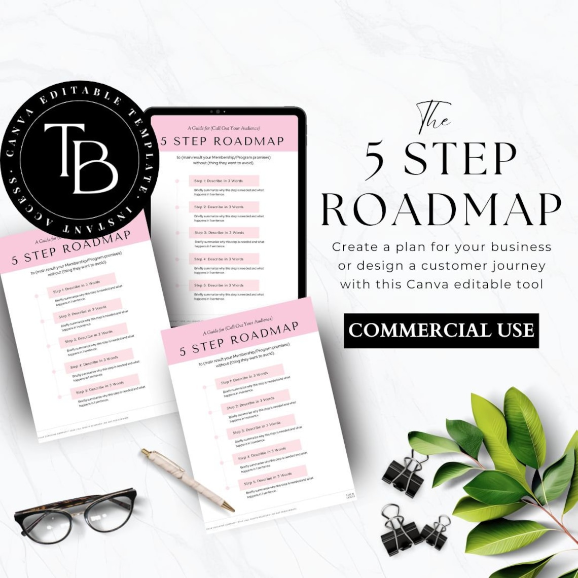 Coaching Roadmap, Coaching Roadmap Template for Coaches, Small Business ...