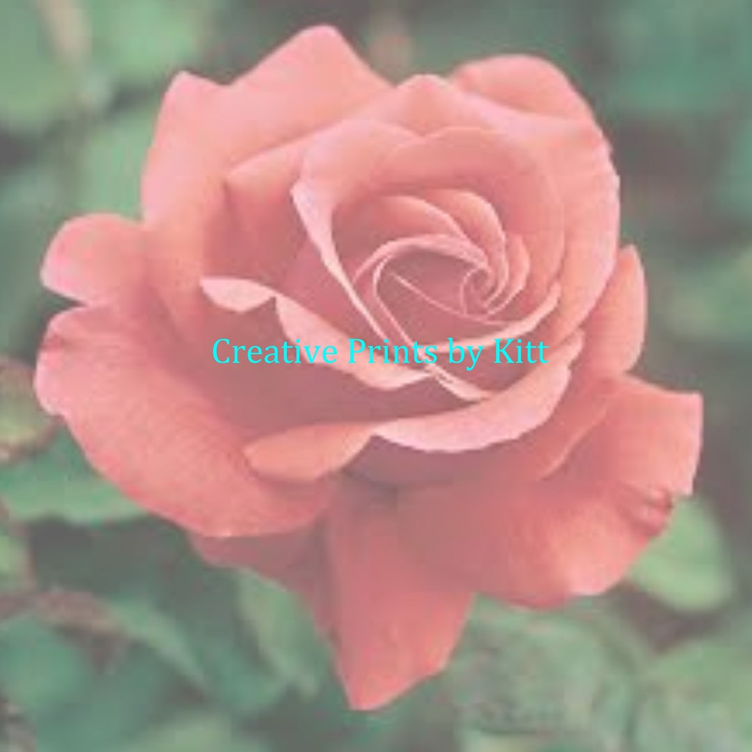 Four Printable Rose Journal Pages Flower Scrapbooking Paper - Etsy