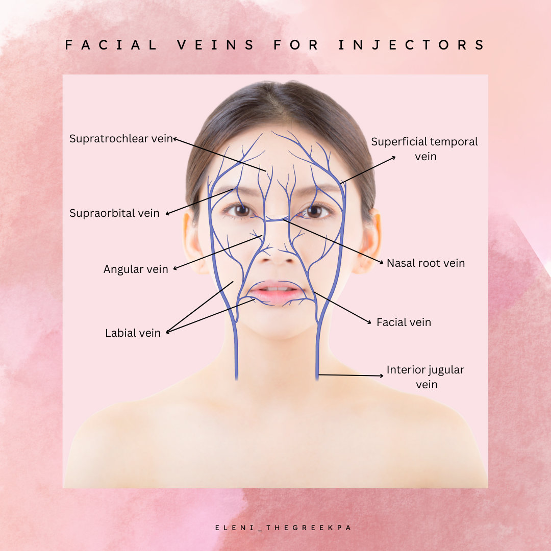 Facial Veins for Aesthetics Injectors - Etsy