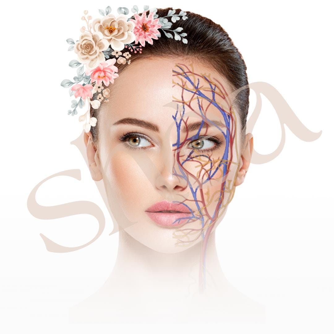 Anatomy Art Bundle – Facial Vasculature, Nerves and Muscles ...