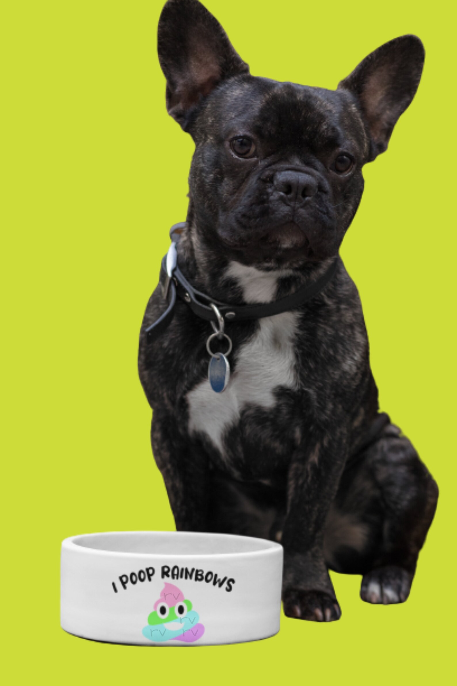 Pastel POOP Emoji Svg| I Poop RAINBOWS Svg | Colorful Unicorn Poop Svg ...