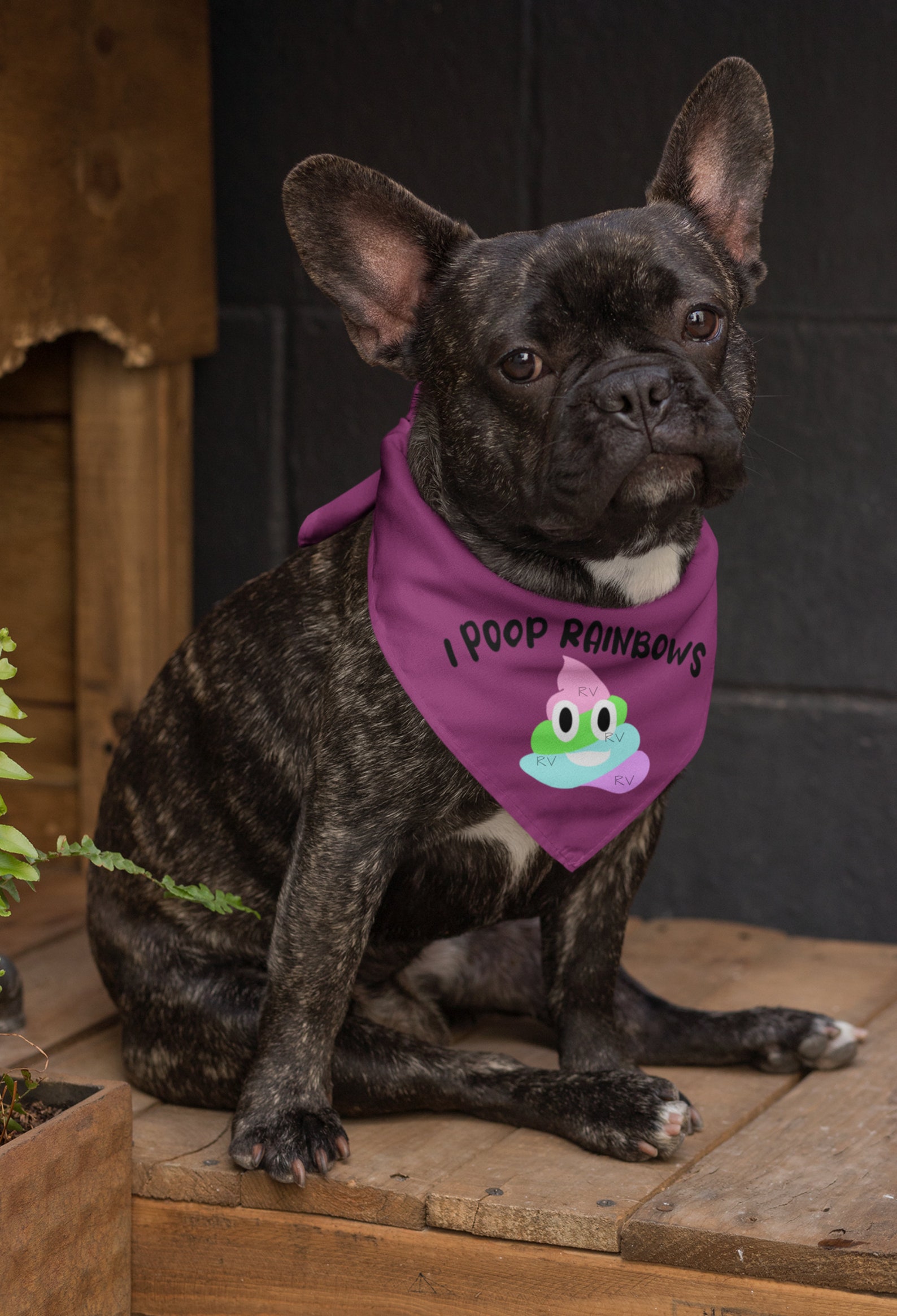 Pastel POOP Emoji Svg| I Poop RAINBOWS Svg | Colorful Unicorn Poop Svg ...