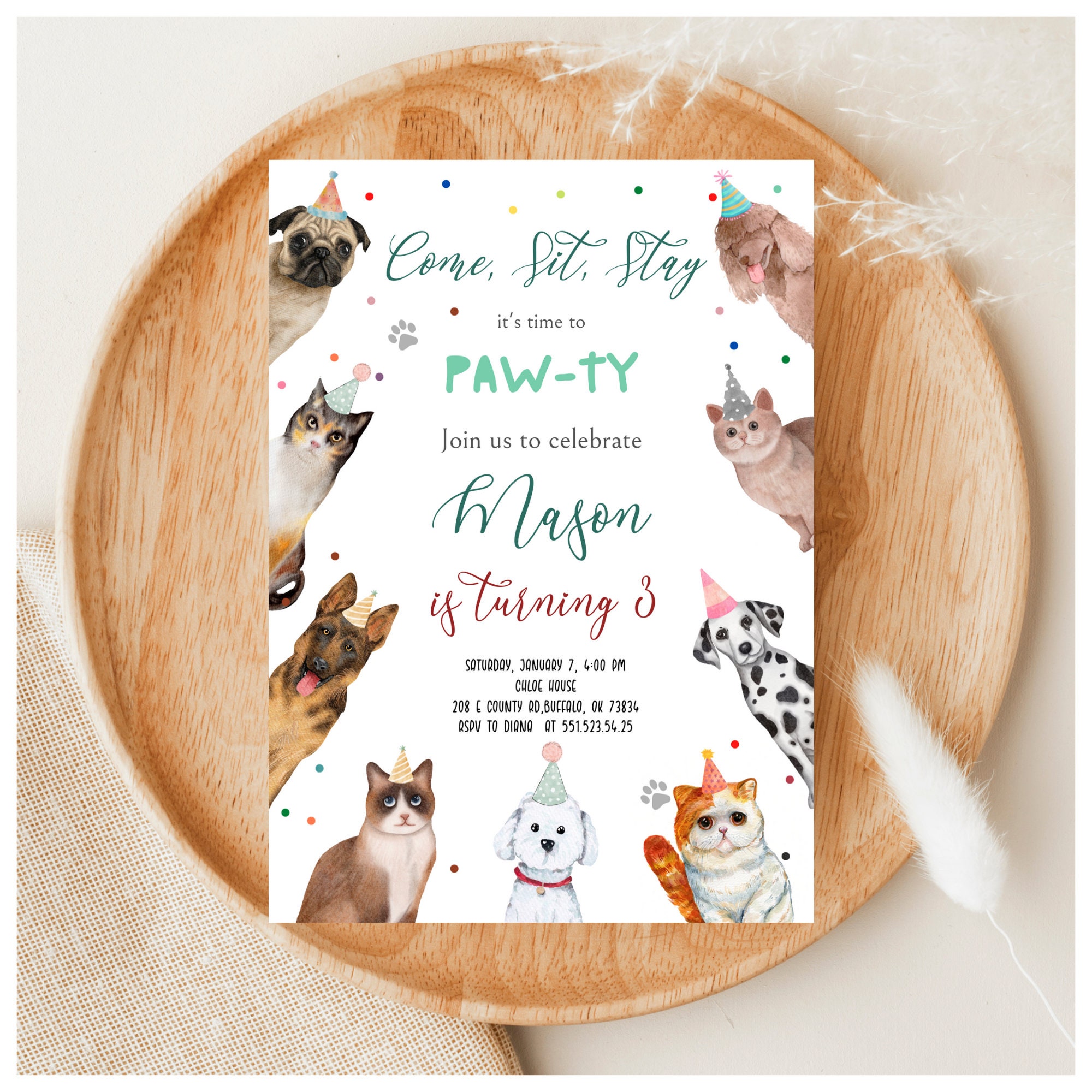 Cats and Dogs Birthday Invitation Cat Dog Birthday Party Invite Boy ...