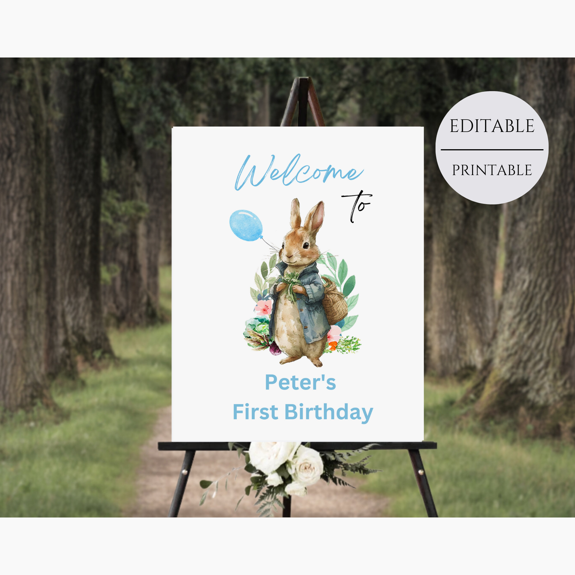 Peter Rabbit Welcome Sign Boy Birthday Baby Shower Welcome 1st Birthday ...