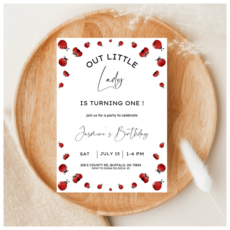 Ladybug 1st Birthday - Etsy