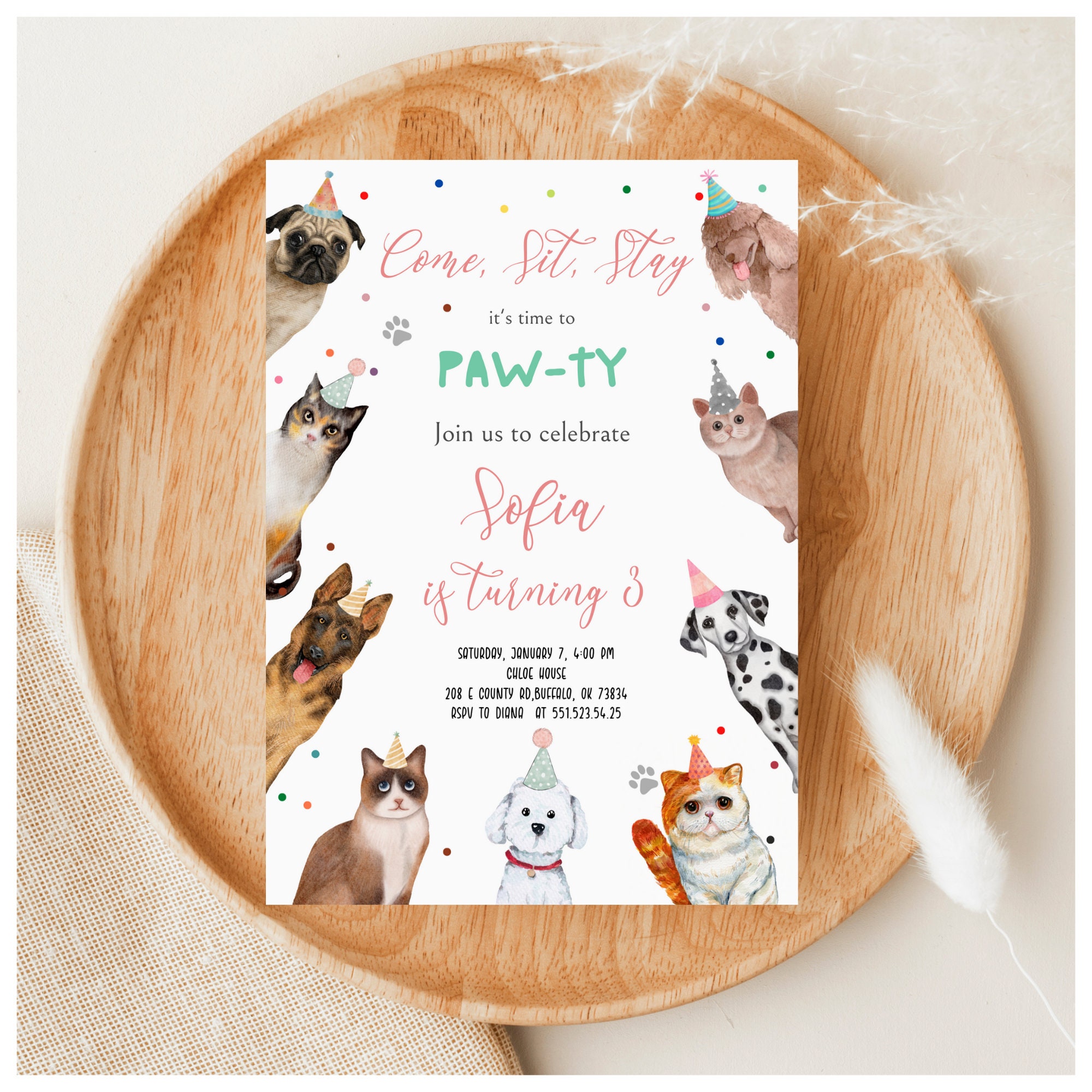 Cats and Dogs Birthday Invitation Cat Dog Birthday Party Invite Girl ...