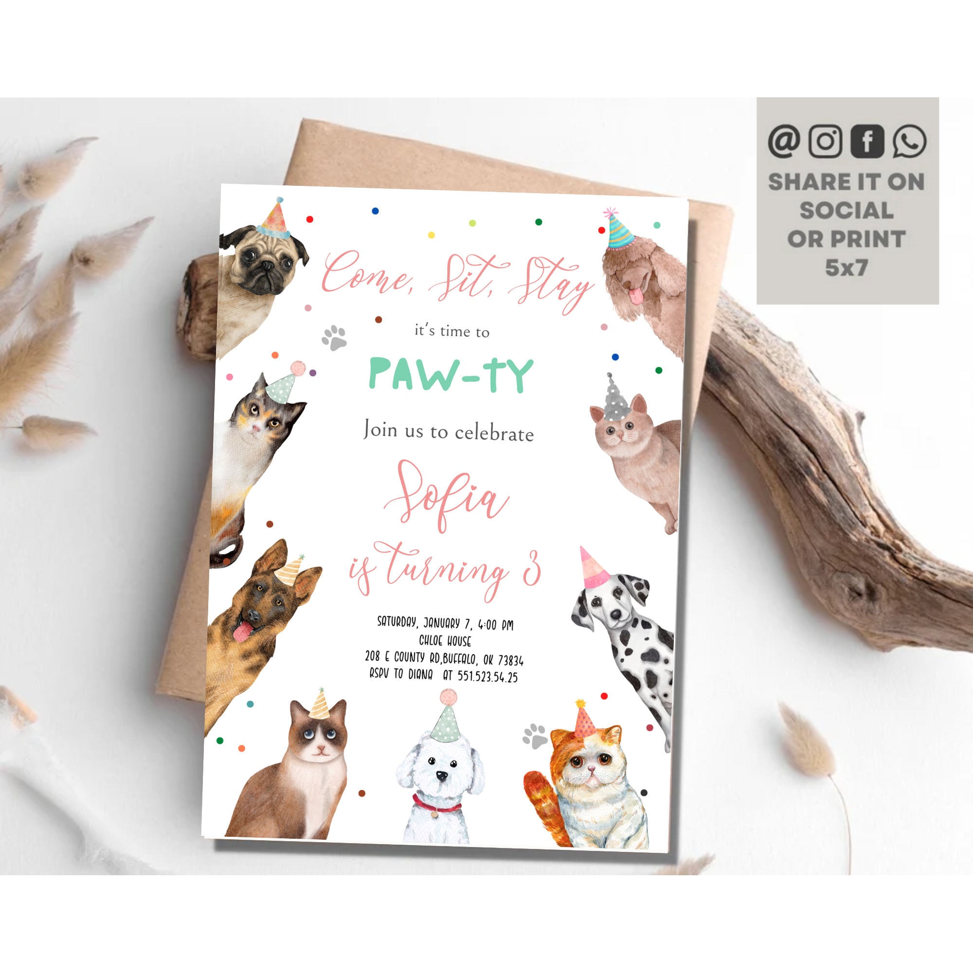 Cats and Dogs Birthday Invitation Cat Dog Birthday Party Invite Girl ...