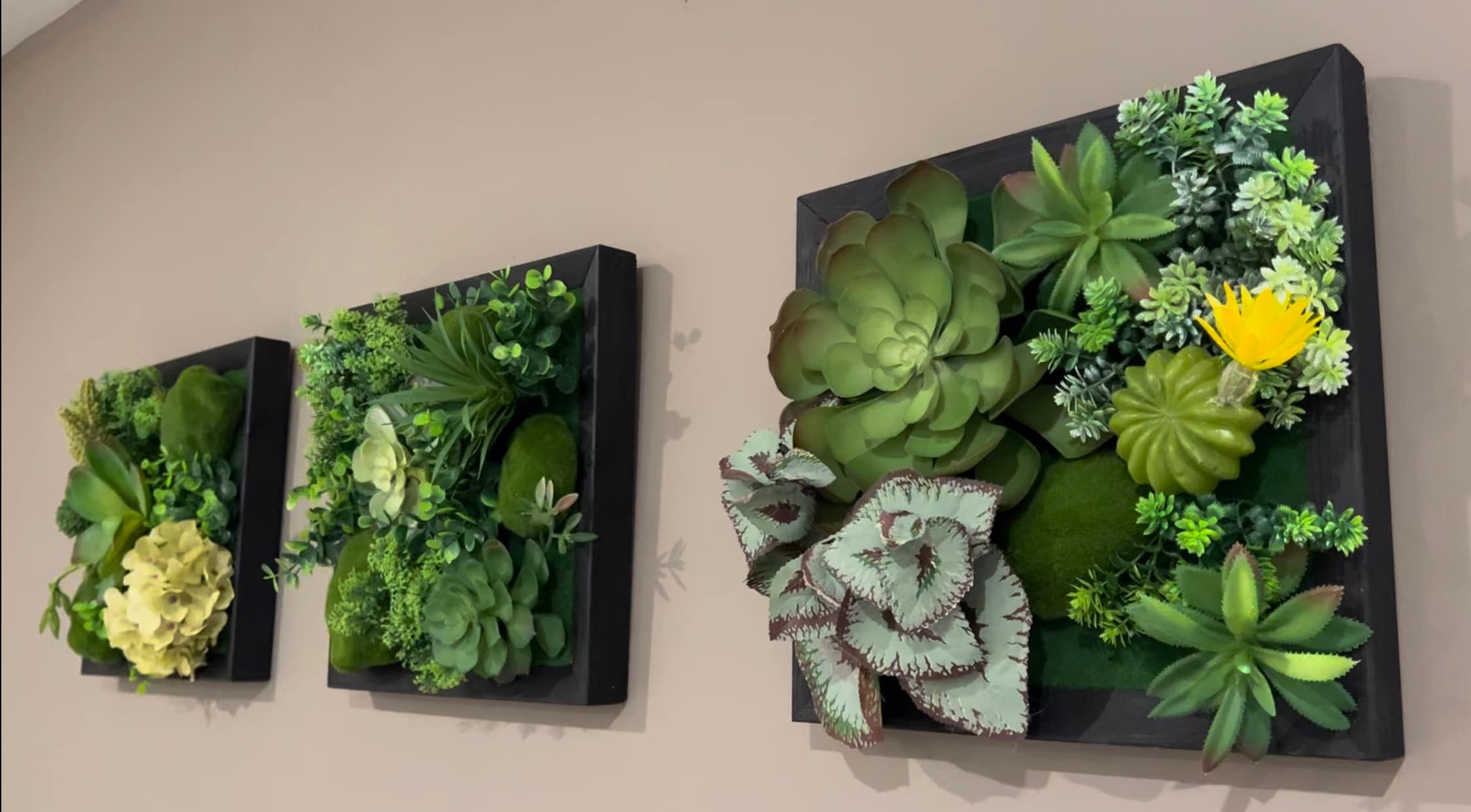 Artificial Succulent Wall Art - Etsy