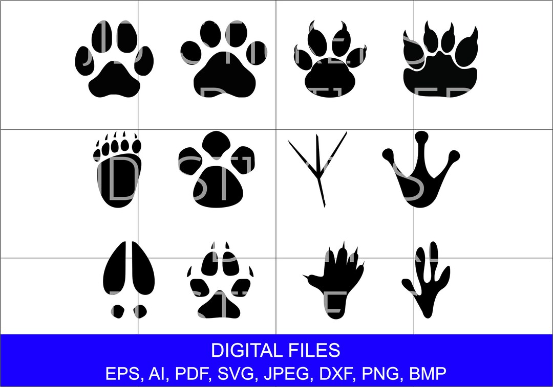 Paw Print Cats Dogs Birds SVG Bundle - Instant Digital Download, Ai ...