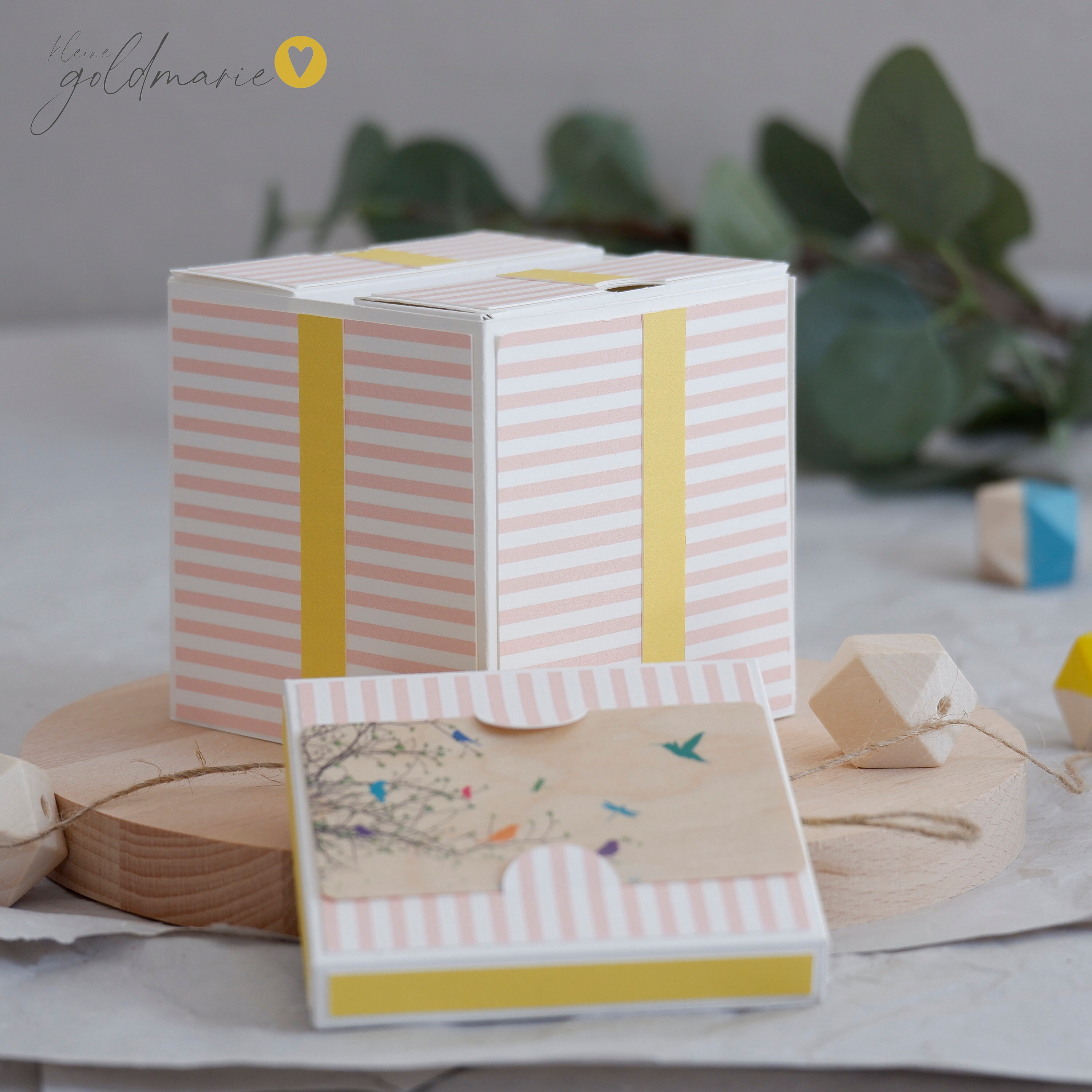 SVG Plotter File "voucher Box #3" - Etsy