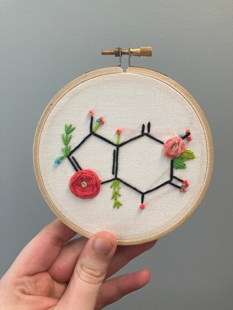 Hand Embroidery Science Themed Decor Embroidery Hoop Art - Etsy