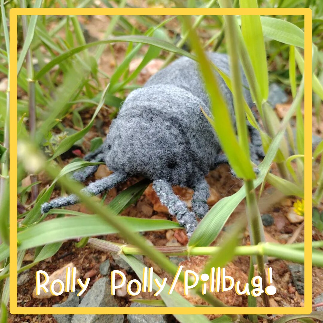 Realistic Handmade, Poseable, Rolly Polly/pillbug/sowbug Felt Plush - Etsy