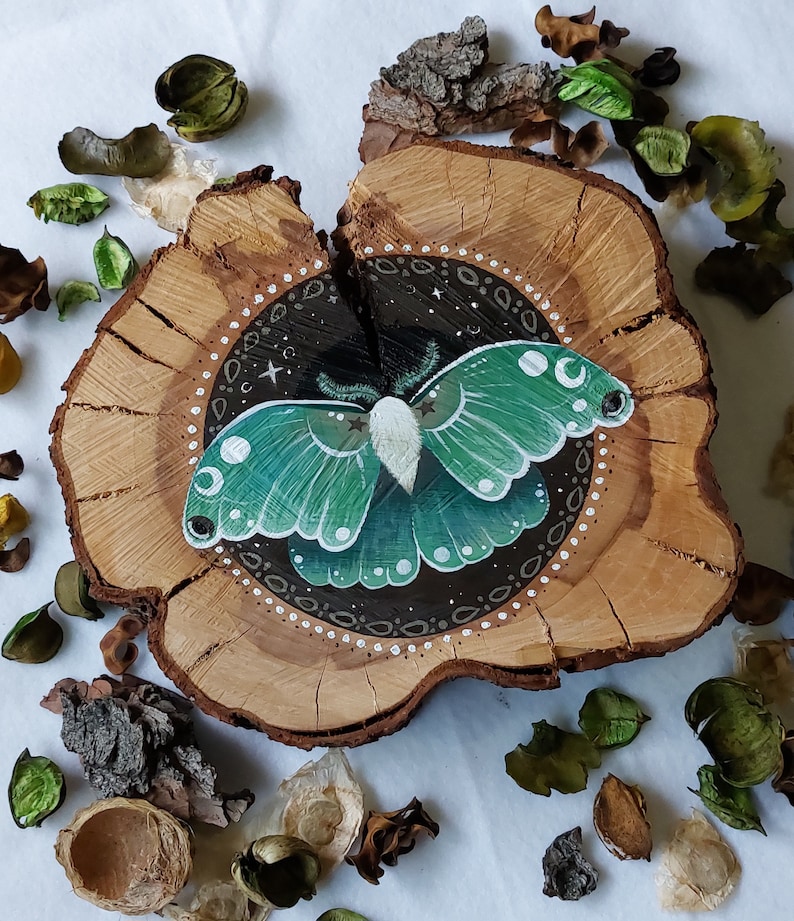 Luna Moth - Hand Painted Apple Wood Round - Etsy