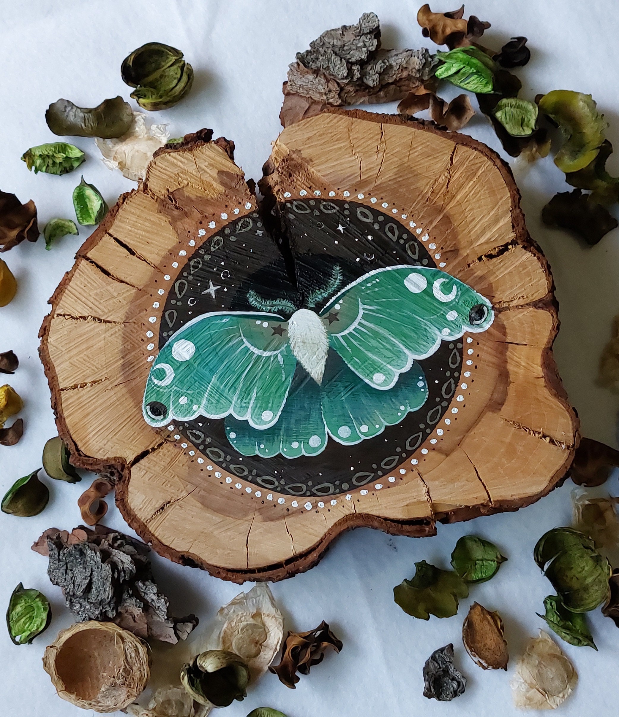 Luna Moth Hand Painted Apple Wood Round - Etsy