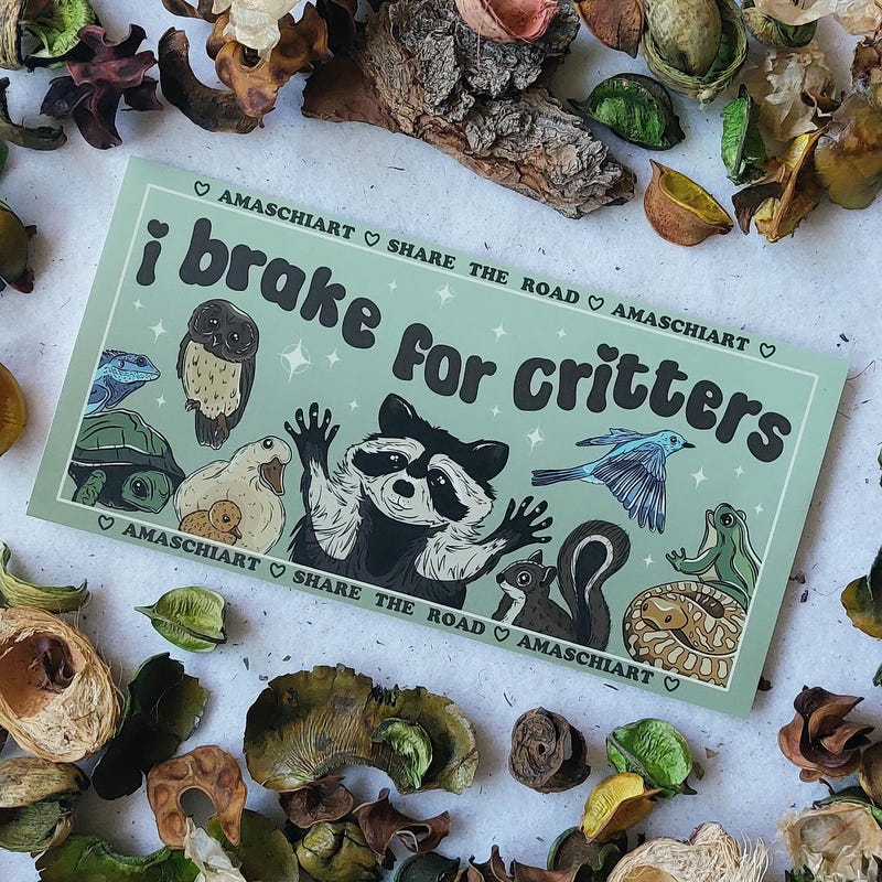 Cute Duck Bumper Magnet - Etsy UK