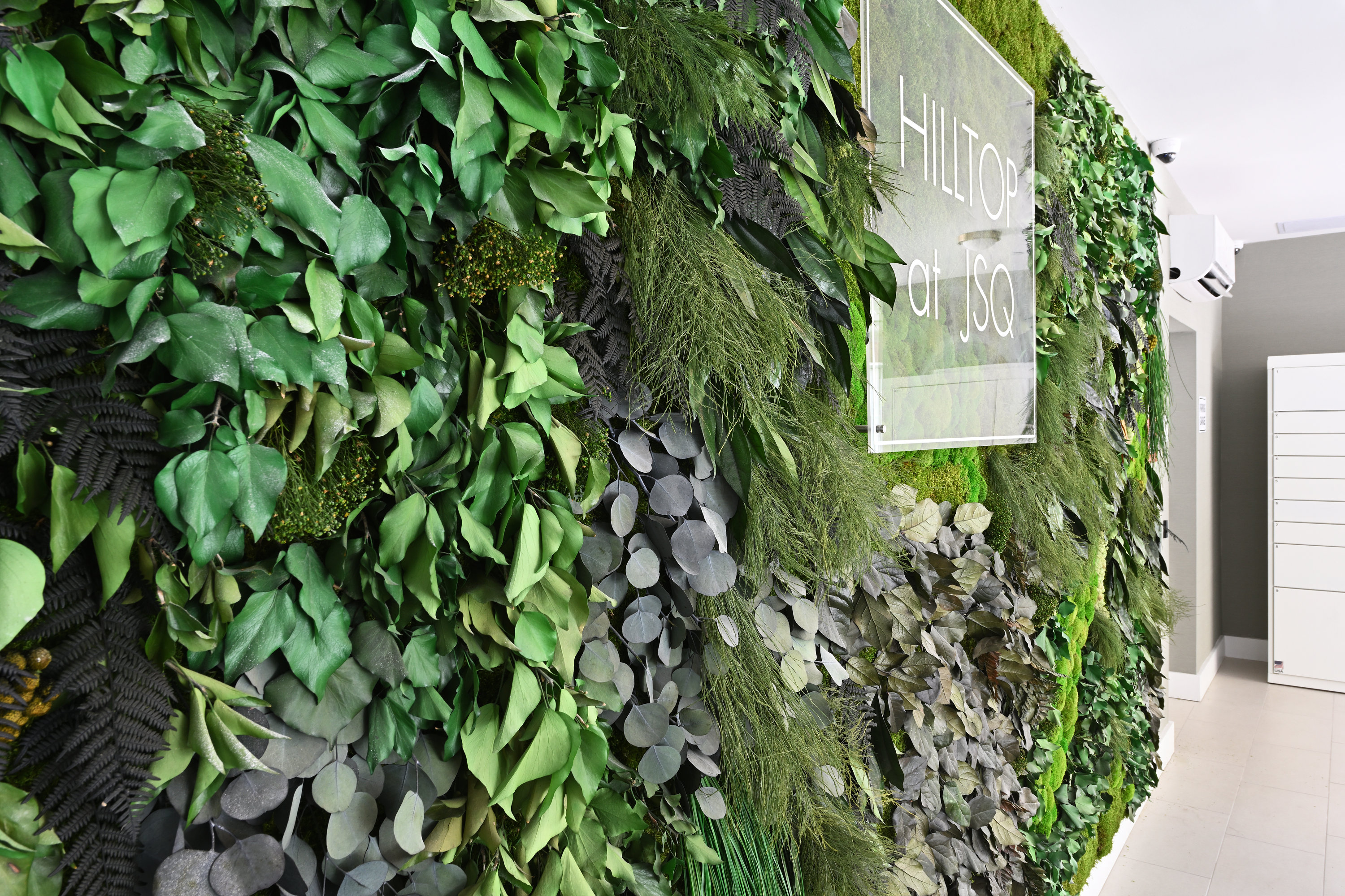 MOSS LOGO, NATURALIST Reindeer Moss Logo, Custom Moss Logo Design ...