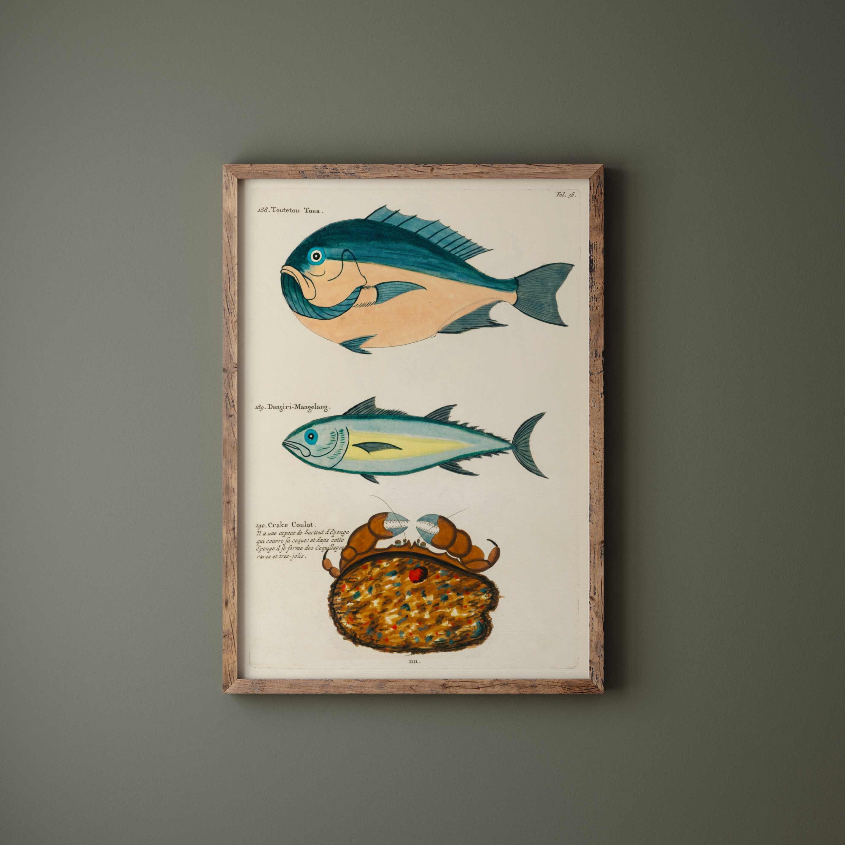 Vintage Fish Art Painting | Wall Art Printable | Fish Art | Classy ...