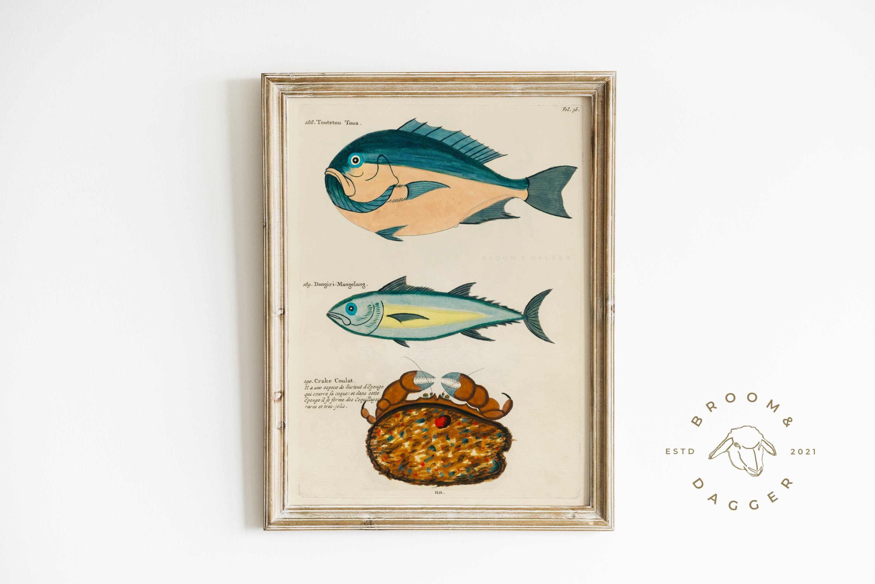 Vintage Fish Art Painting | Wall Art Printable | Fish Art | Classy ...