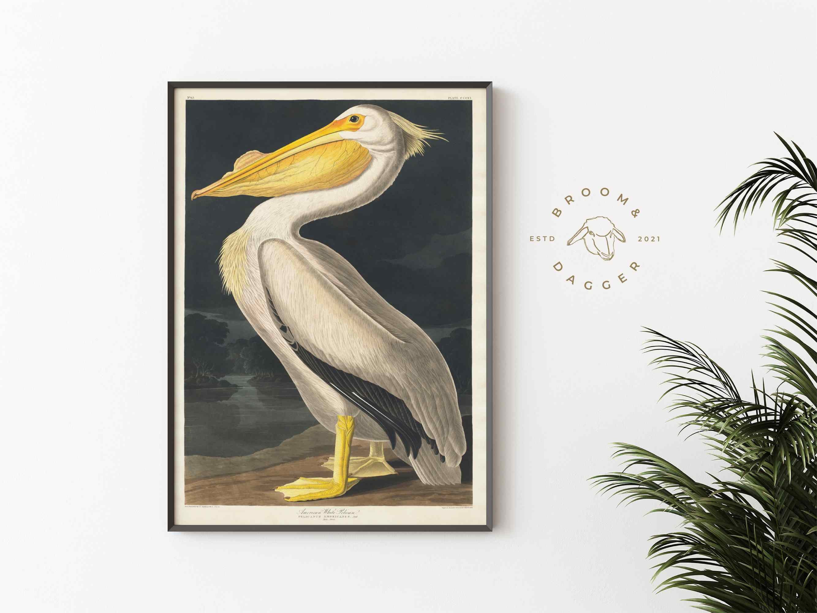 Pelican Vintage Art | Beachy Wall Art | Digital Download | Coastal Wall ...