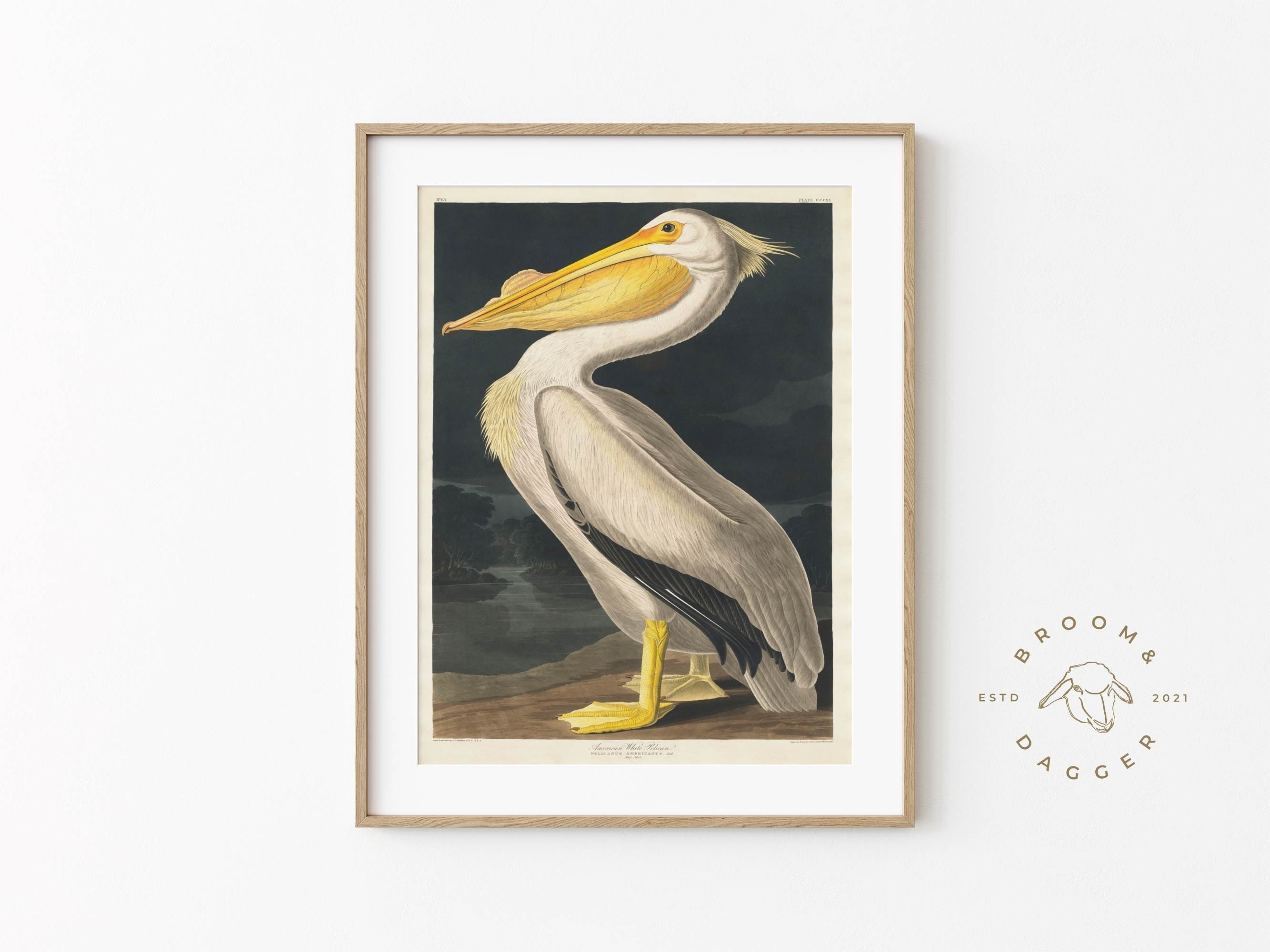 Pelican Vintage Art | Beachy Wall Art | Digital Download | Coastal Wall ...