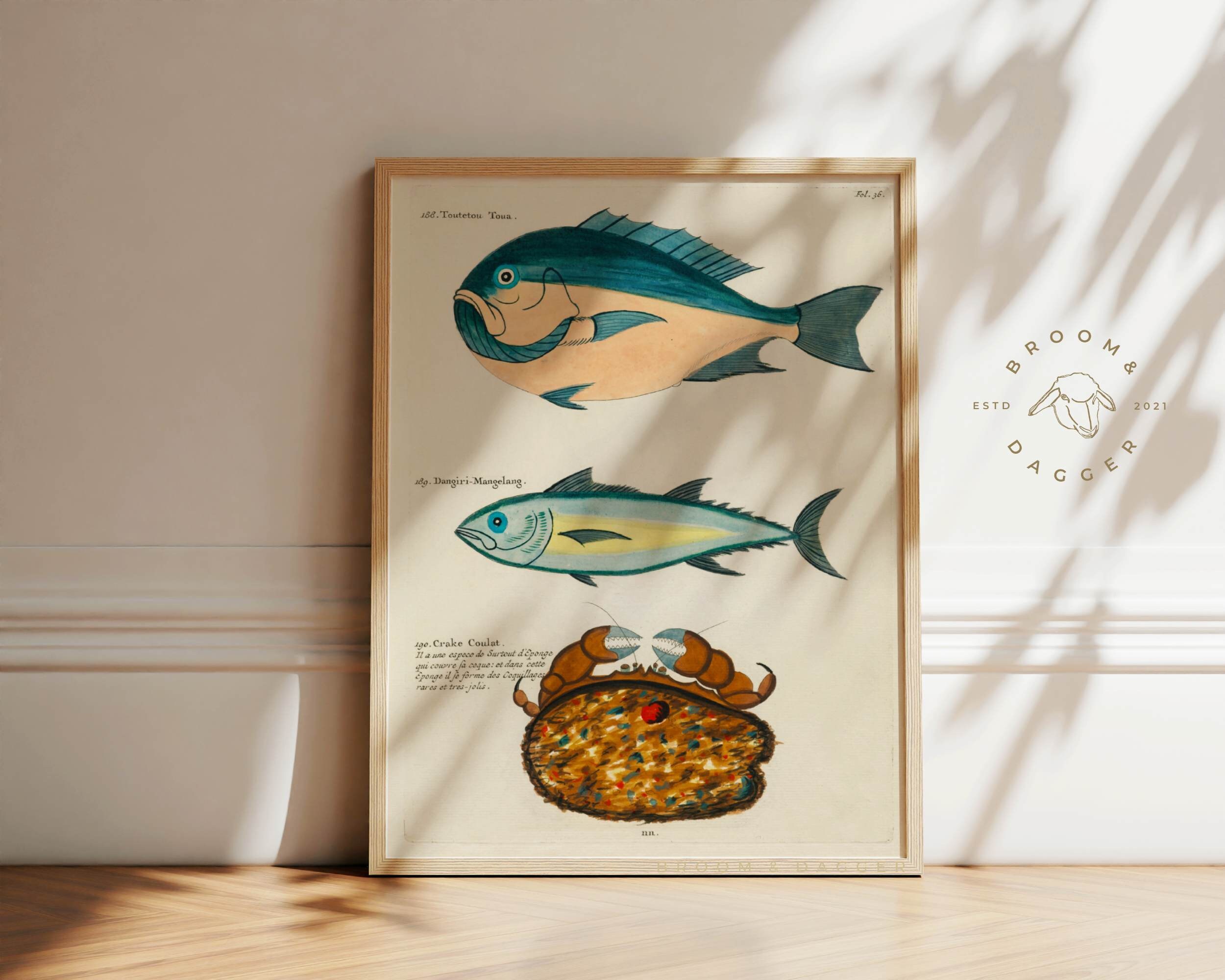 Vintage Fish Art Painting | Wall Art Printable | Fish Art | Classy ...