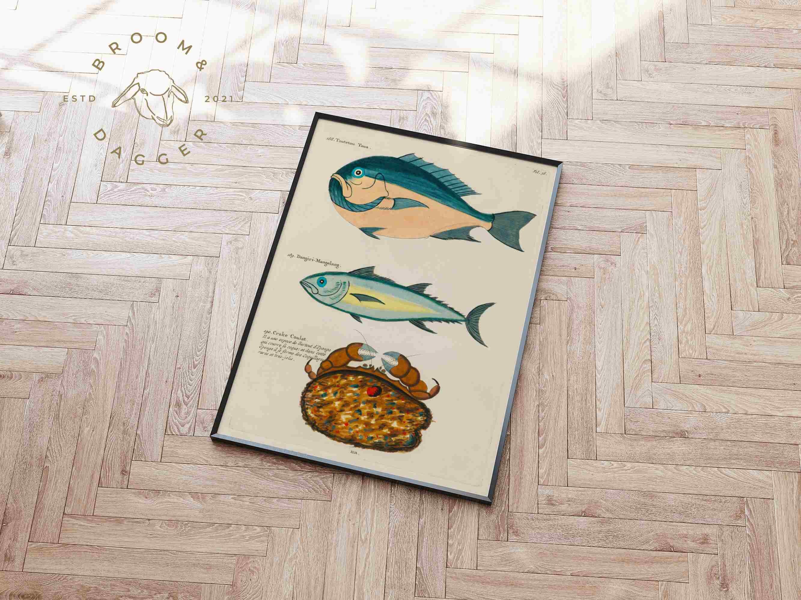 Vintage Fish Art Painting | Wall Art Printable | Fish Art | Classy ...