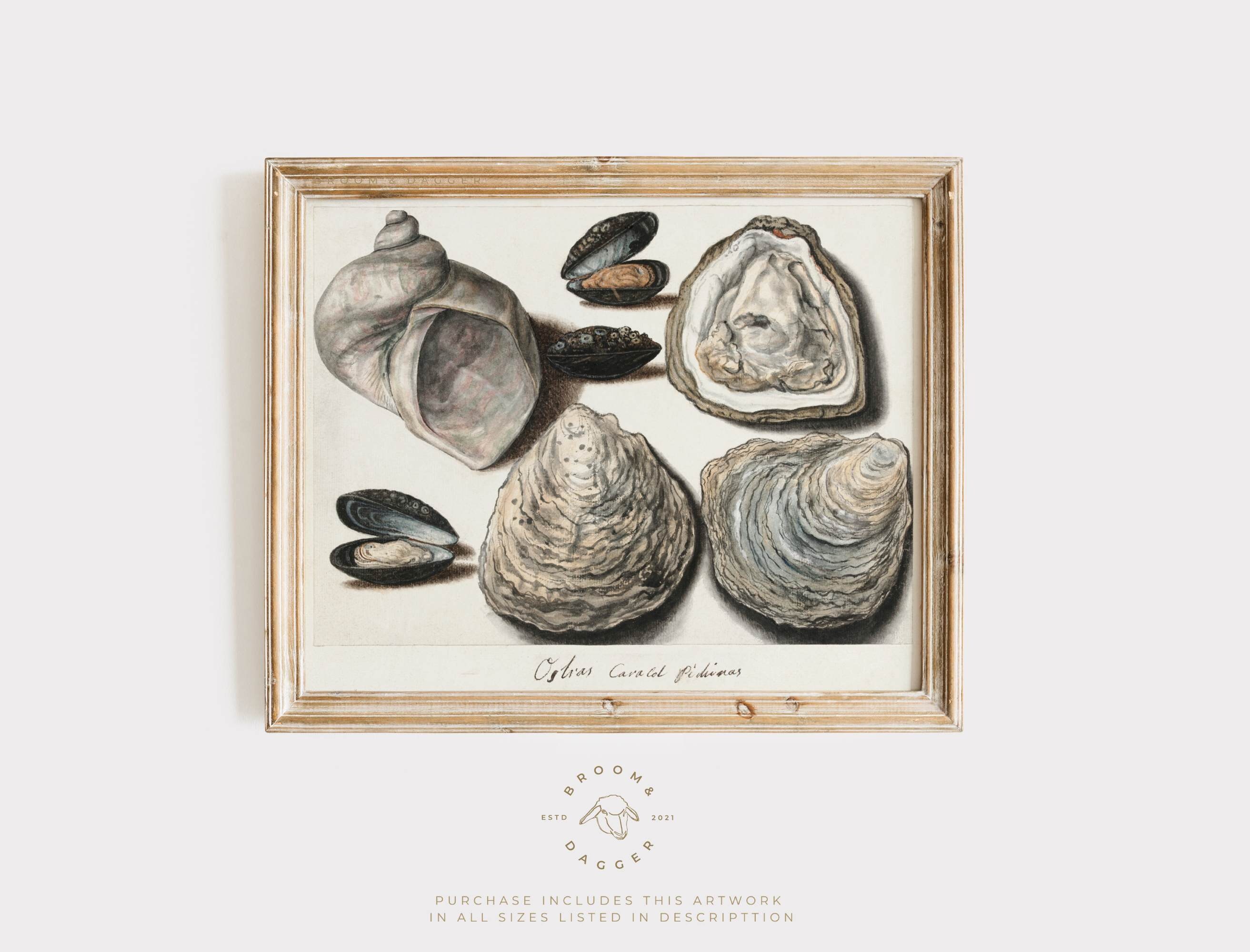 Coastal Wall Art BUNDLE Vintage Ship Art Oyster Wall Art Neutral Beach ...