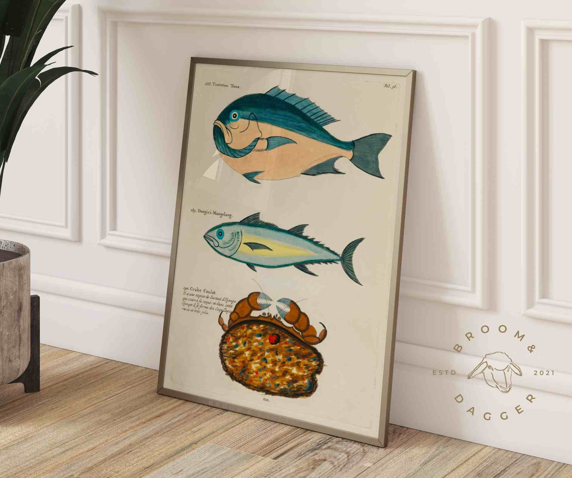 Vintage Fish Art Painting | Wall Art Printable | Fish Art | Classy ...