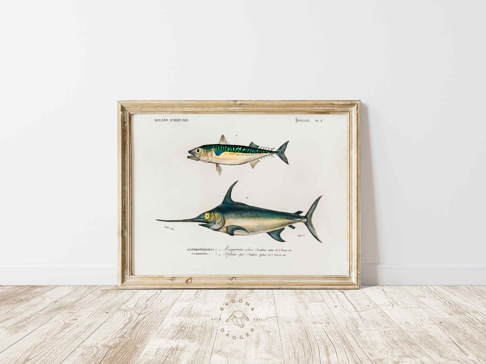 Vintage Fish Art Swordfish & Mackerel | Beachy Wall Art | Fish Wall Art ...