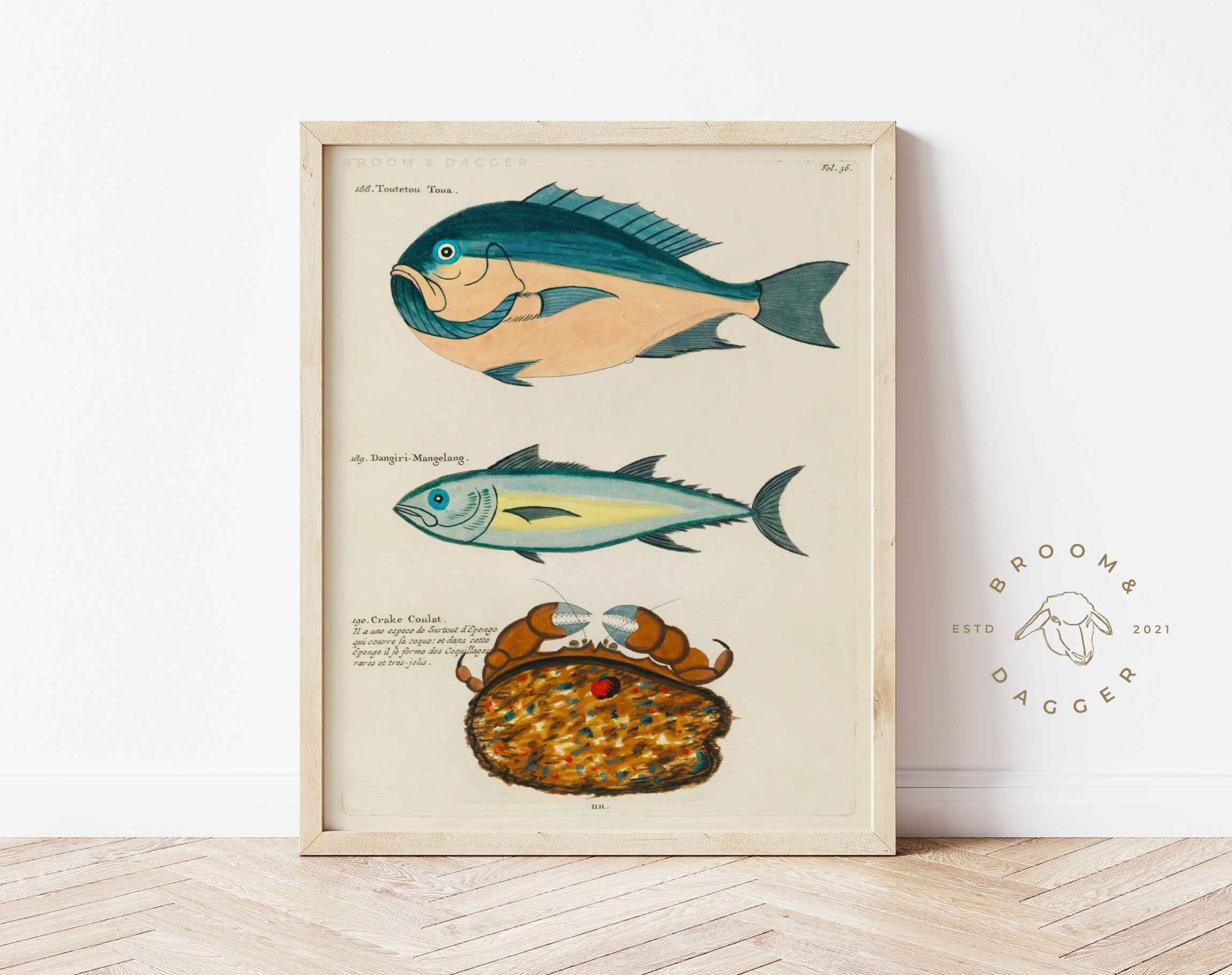 Vintage Fish Art Painting | Wall Art Printable | Fish Art | Classy ...