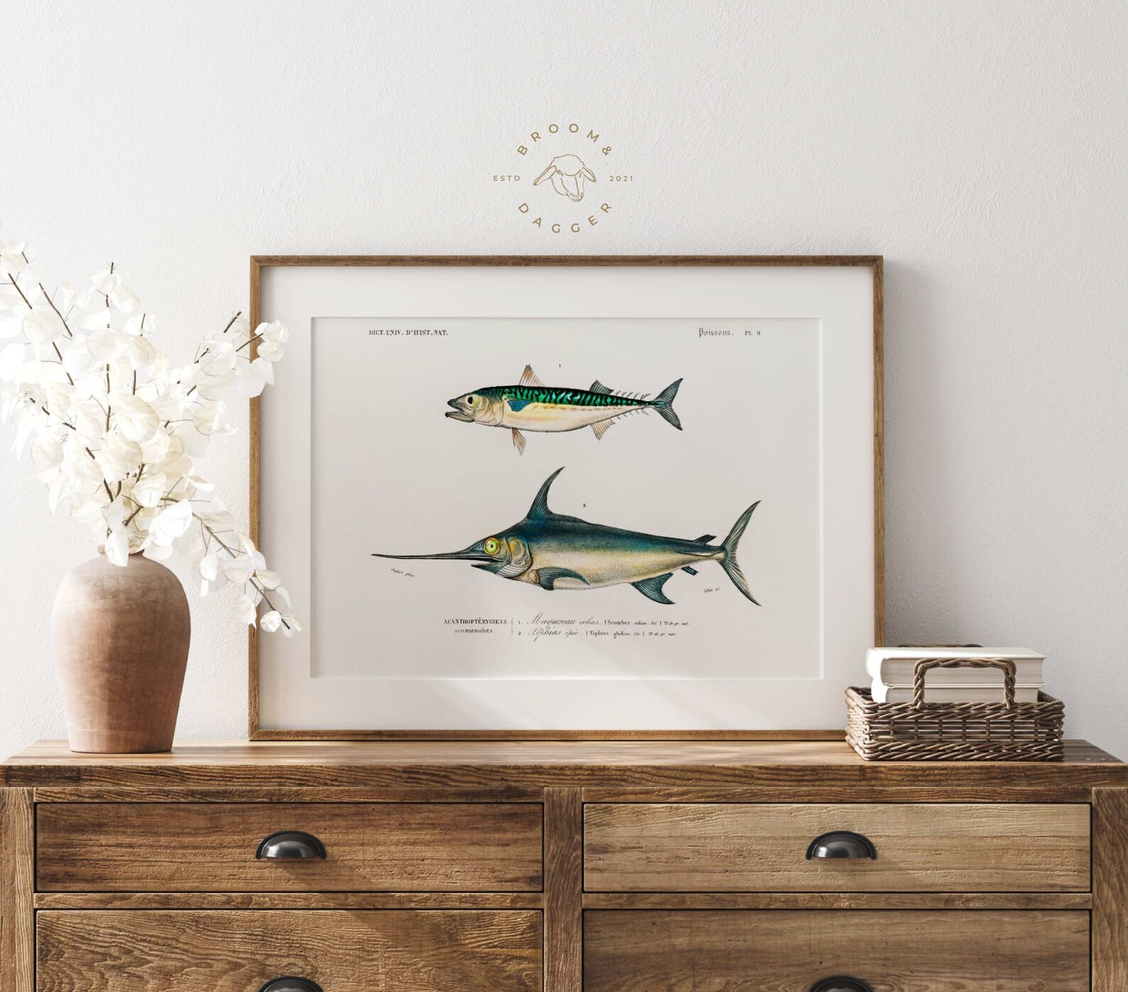 Vintage Fish Art Swordfish & Mackerel | Beachy Wall Art | Fish Wall Art ...