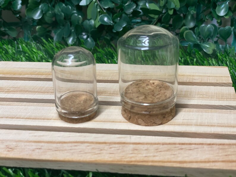 Adopt a Korok in a Terrarium Cork Base - Etsy