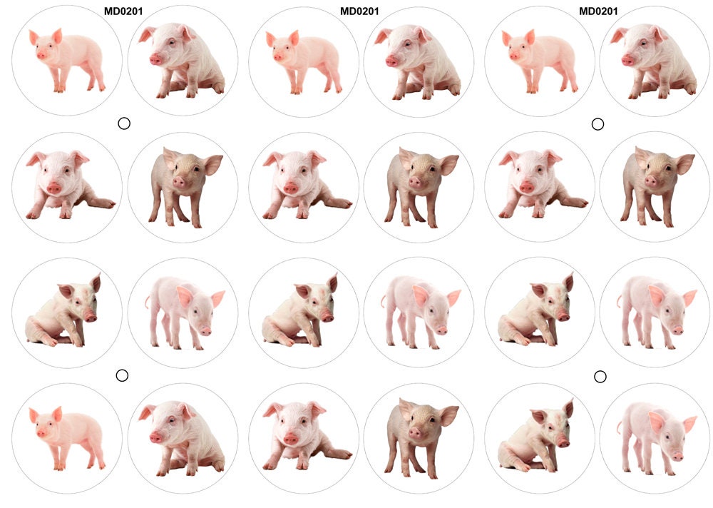 24 Pig Cake Toppers Edible Pre Cut & Made in the UK - Etsy