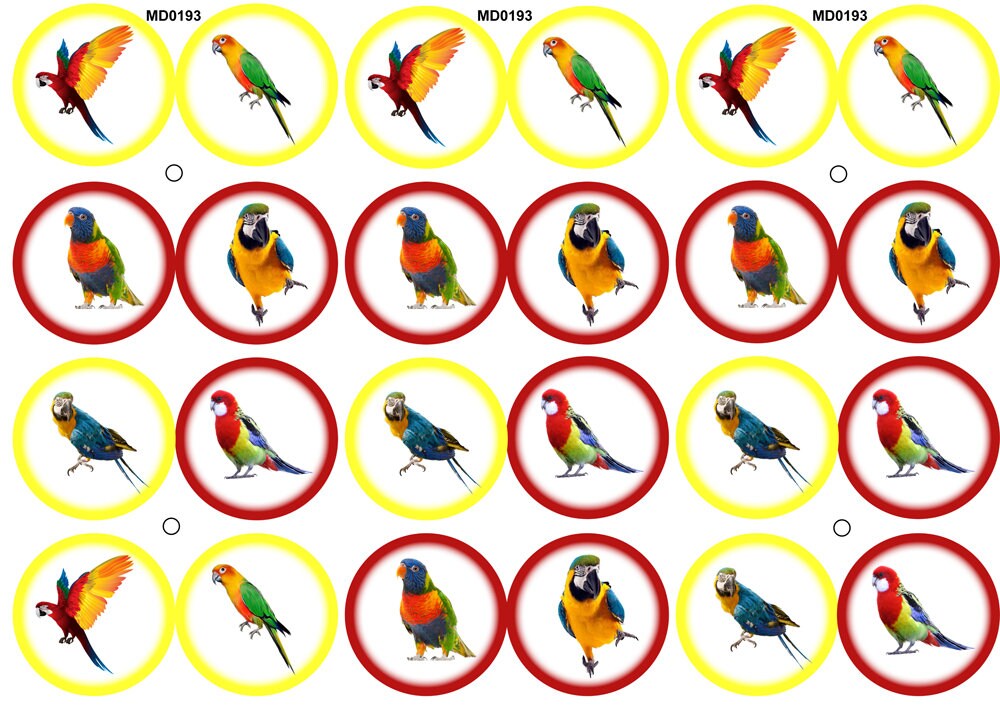 24 Parrots Cake Toppers- Edible, Pre Cut & Made in the UK - Etsy