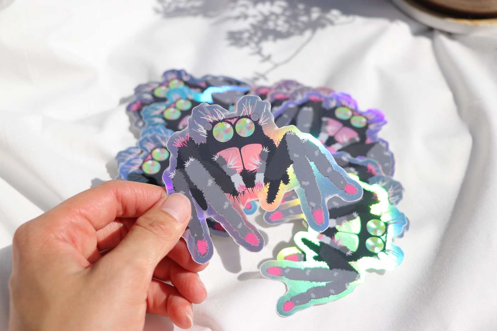 Jumping Spider Sticker- Holographic Spider Sticker - Etsy