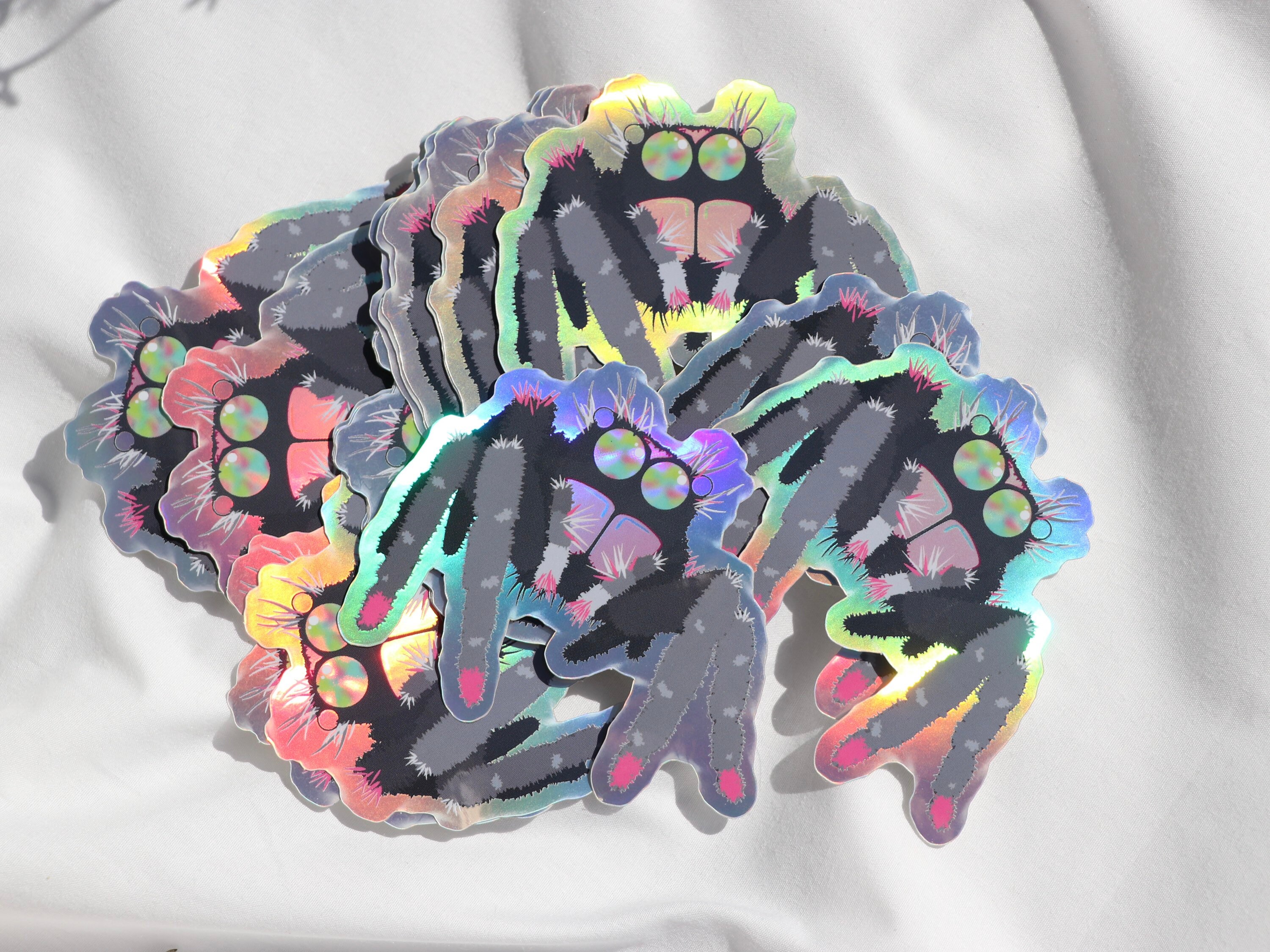 Jumping Spider Sticker- Holographic Spider Sticker - Etsy